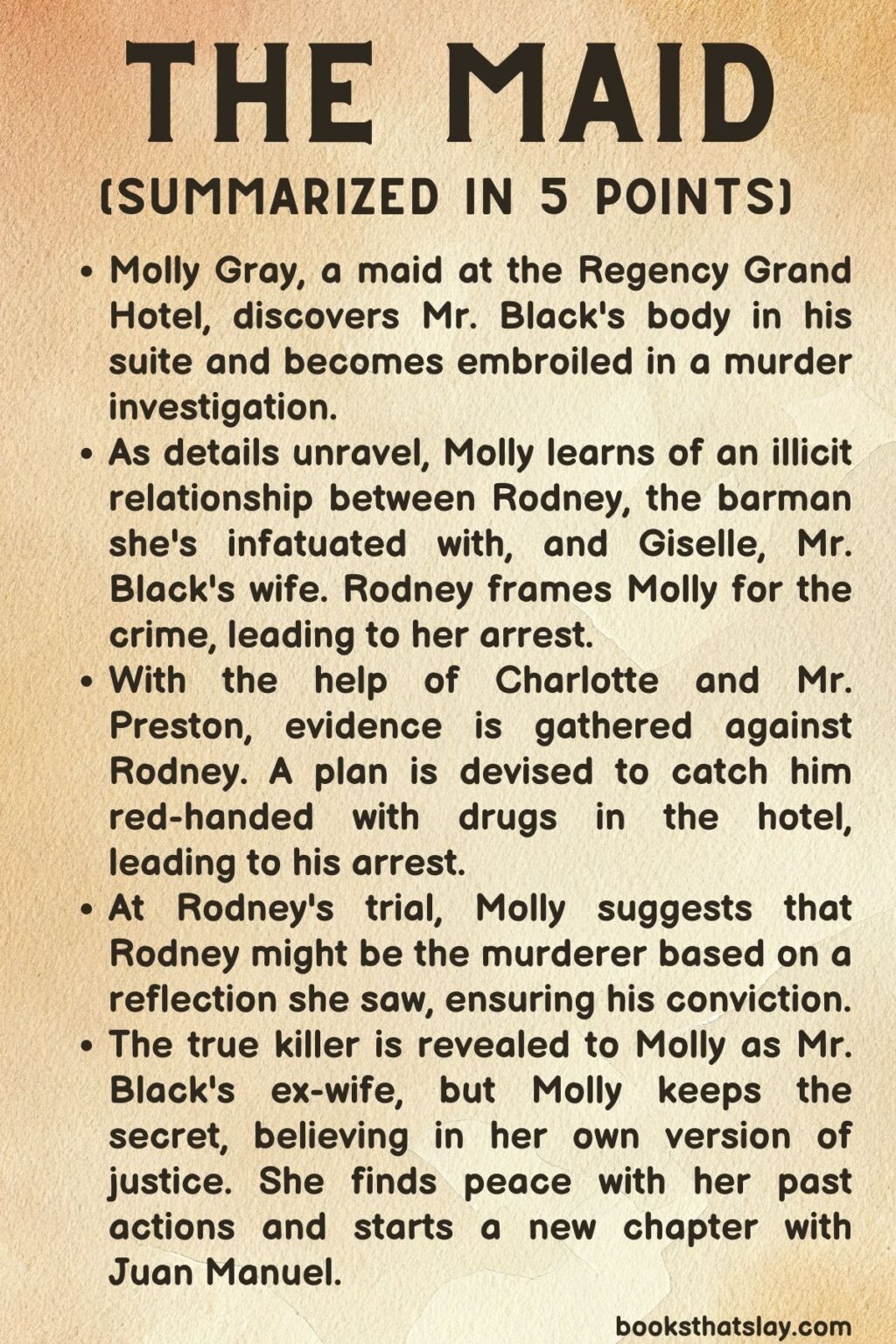 The Maid Summary And Key Themes