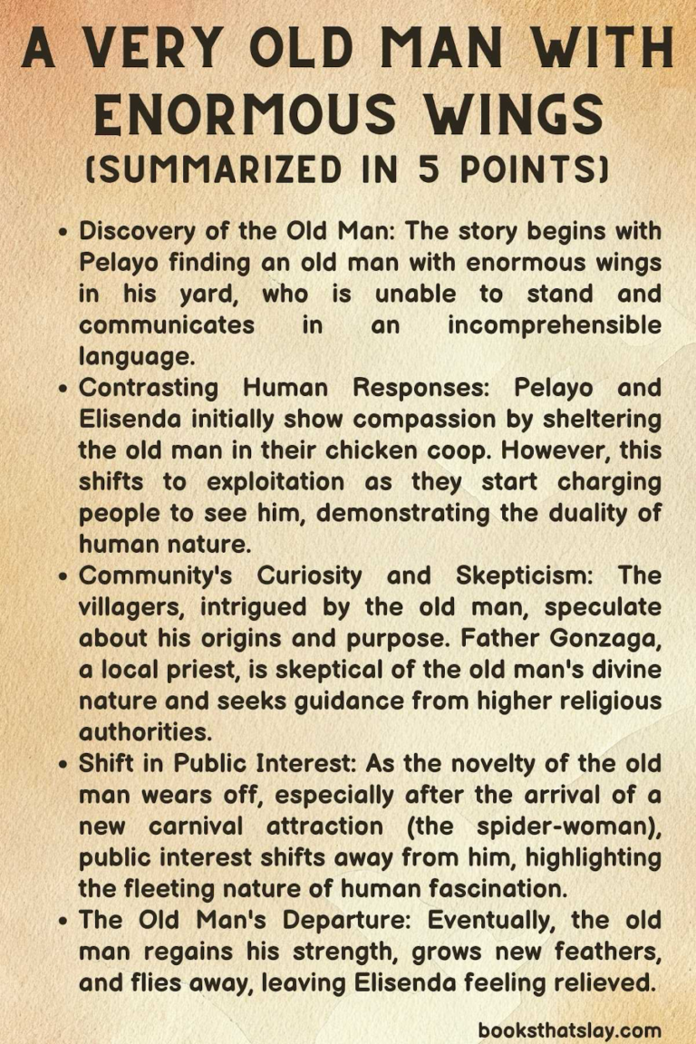 A Very Old Man with Enormous Wings Summary and Key Themes