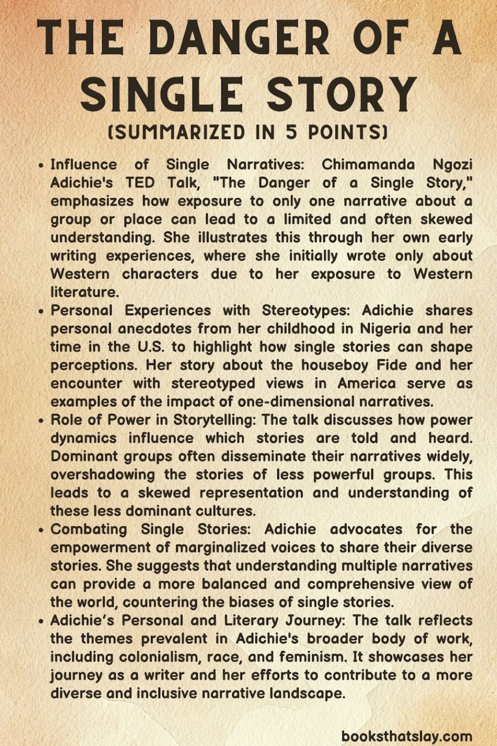 The Danger of a Single Story Summary, Themes and Analysis