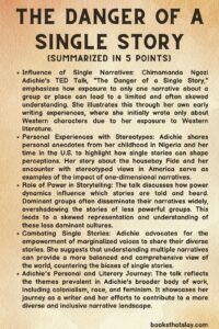 The Danger of a Single Story Summary, Themes and Analysis