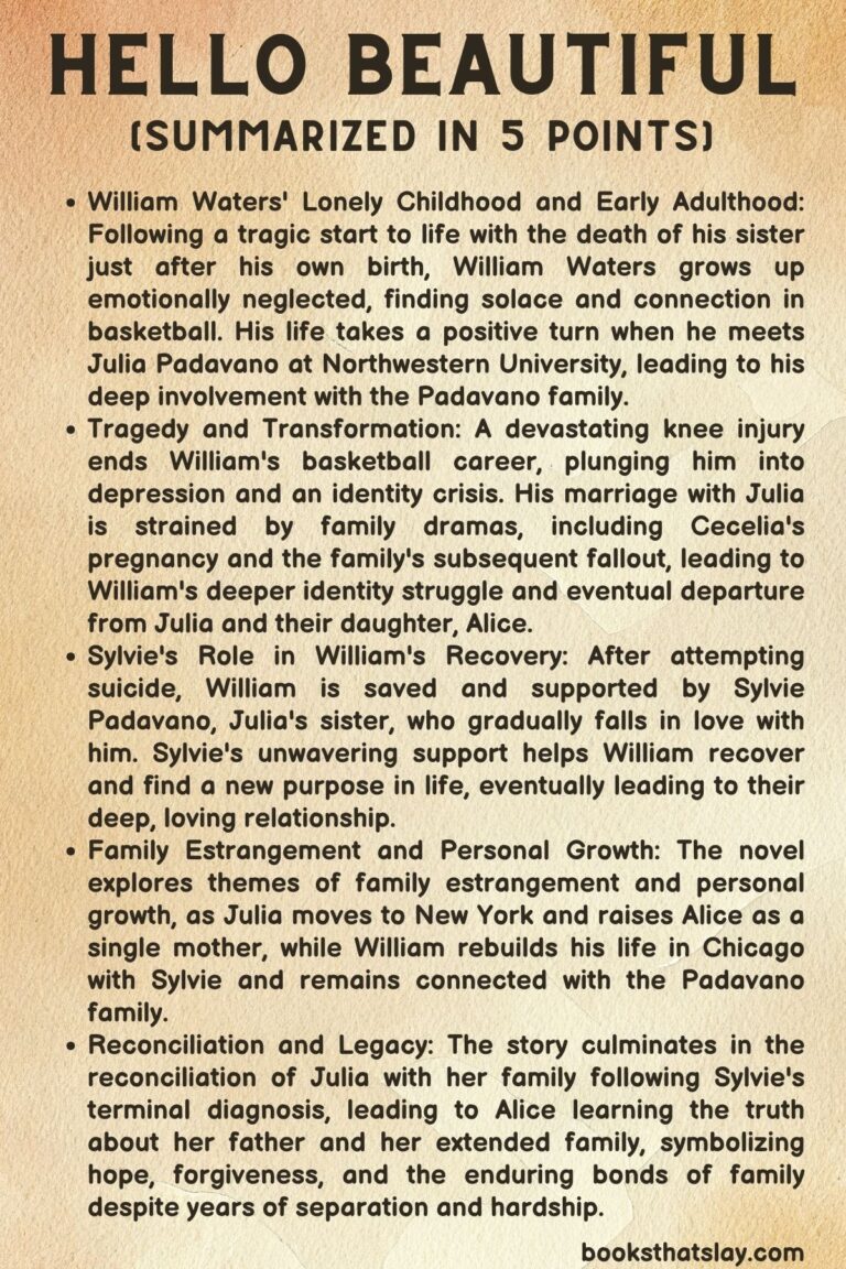 Hello Beautiful Summary, Characters, and Themes