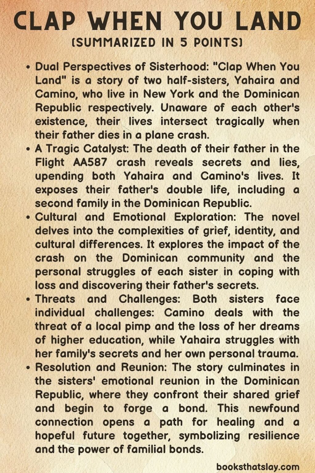 Clap When You Land Summary, Characters and Themes