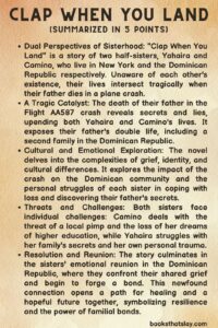 Clap When You Land Summary, Characters and Themes