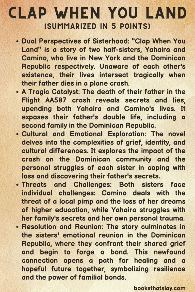 Clap When You Land Summary, Characters and Themes