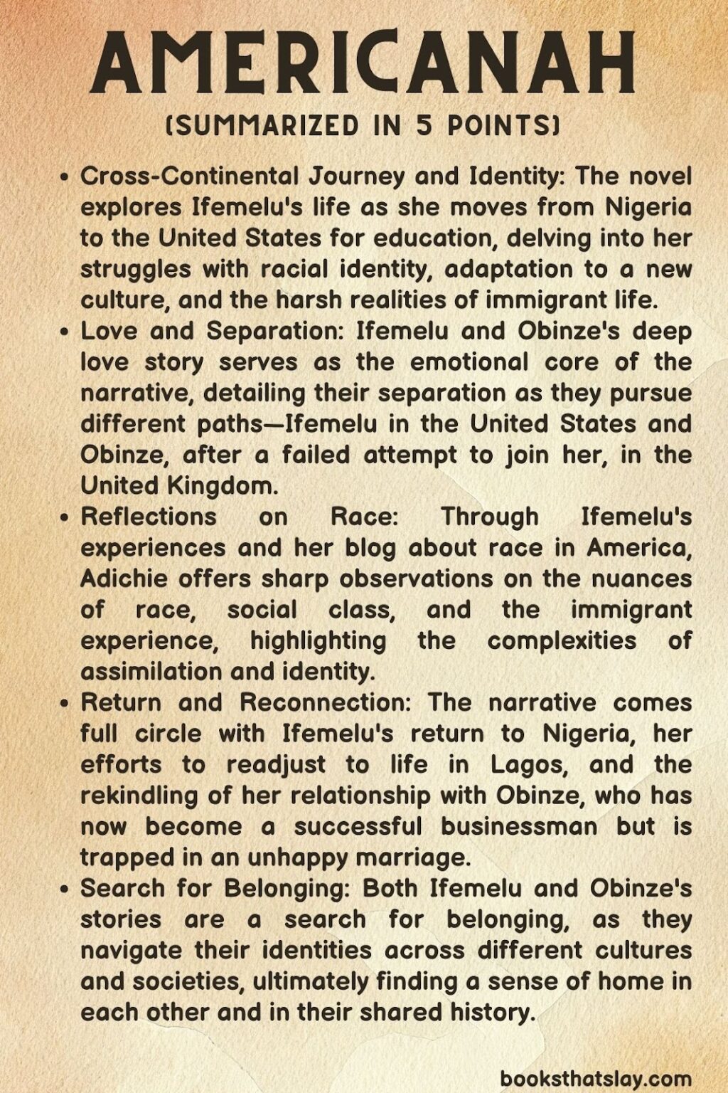 Americanah Summary, Characters and Themes