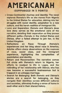 Americanah Summary, Characters and Themes