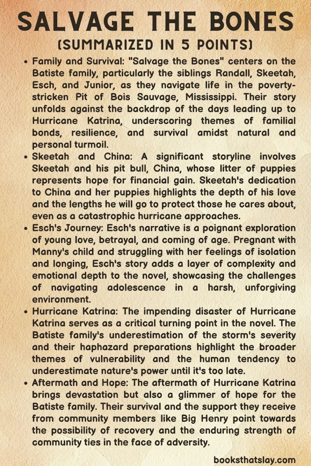 Salvage the Bones Summary, Characters and Themes