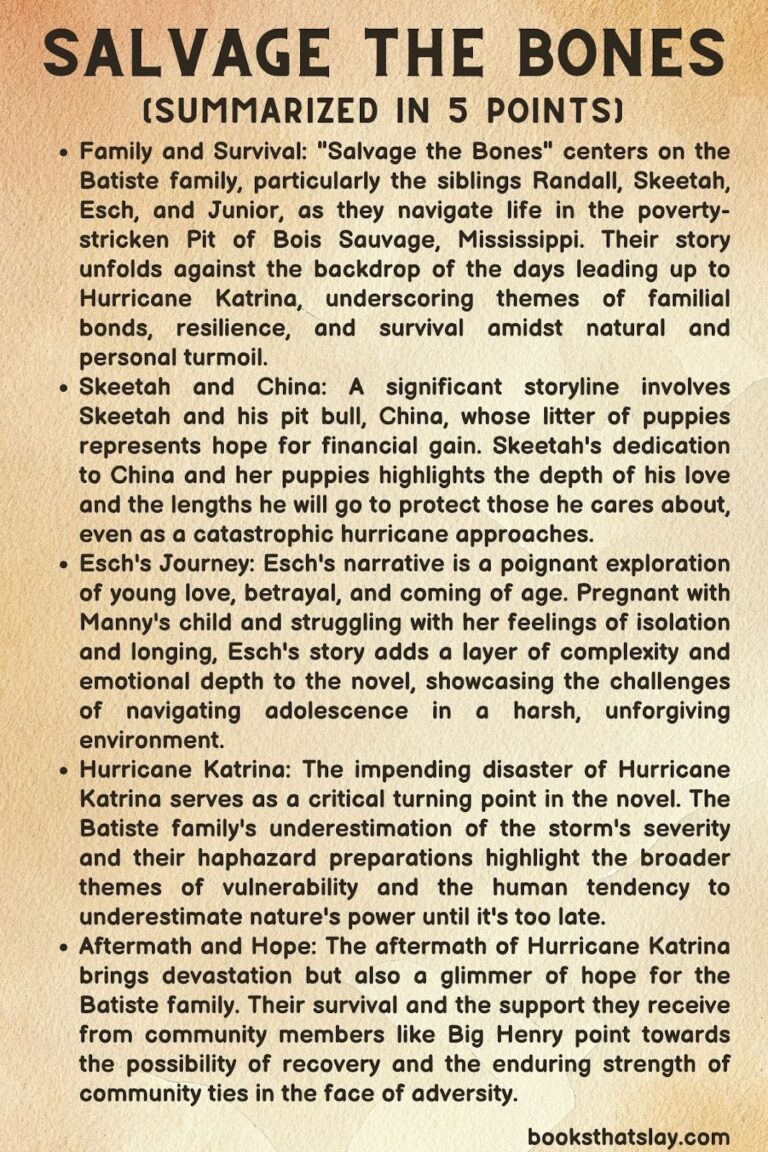 Salvage the Bones Summary, Characters and Themes