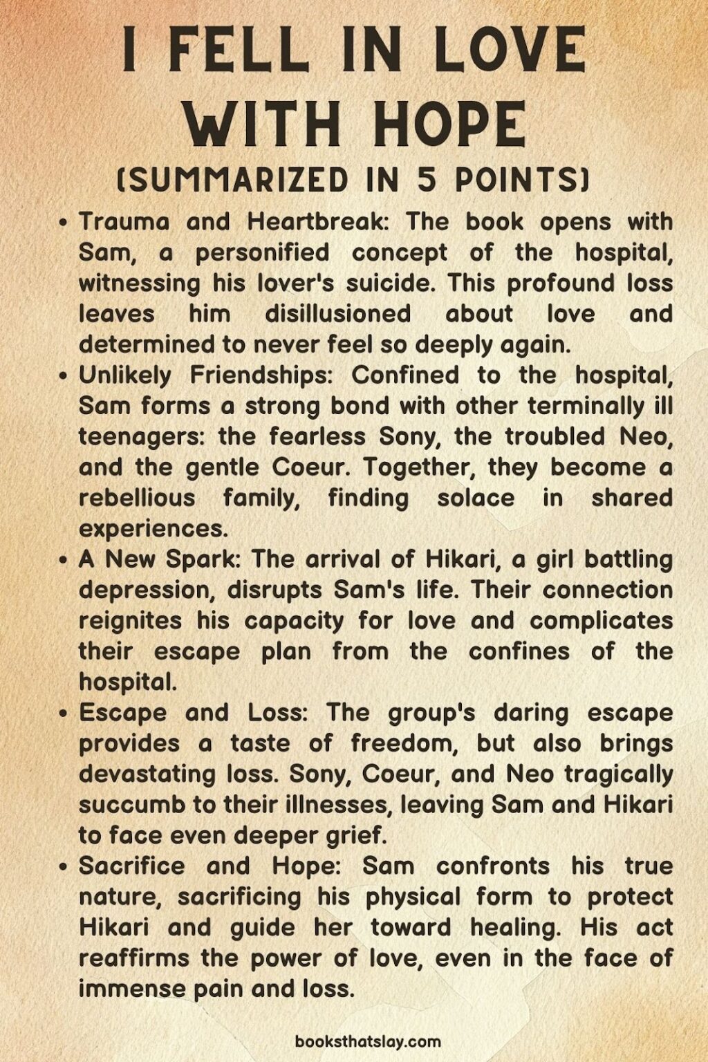 I Fell in Love With Hope Summary, Characters and Themes