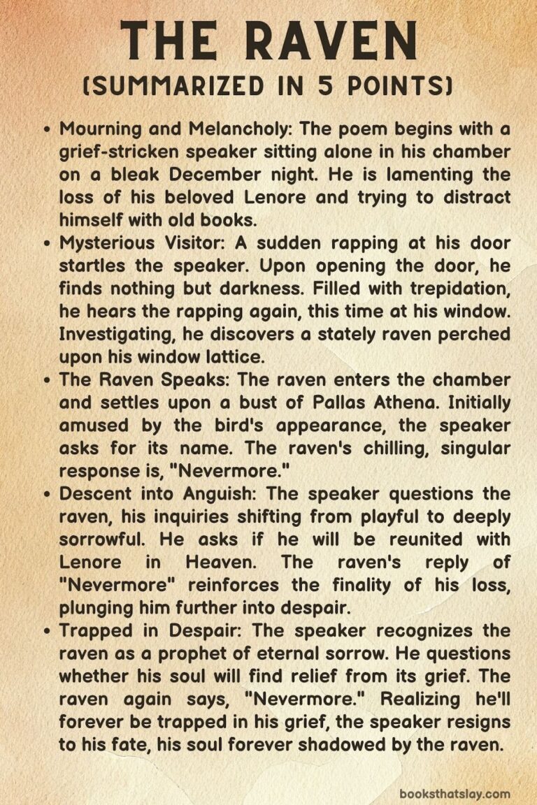 The Raven Summary, Analysis and Themes
