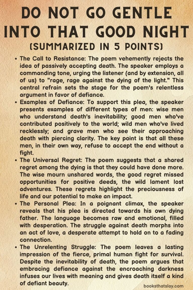 Do not go gentle into that good night Summary, Analysis and Themes