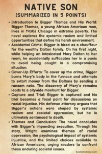 Native Son Summary, Characters and Themes