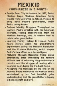 Mexikid Summary, Characters, Analysis and Themes