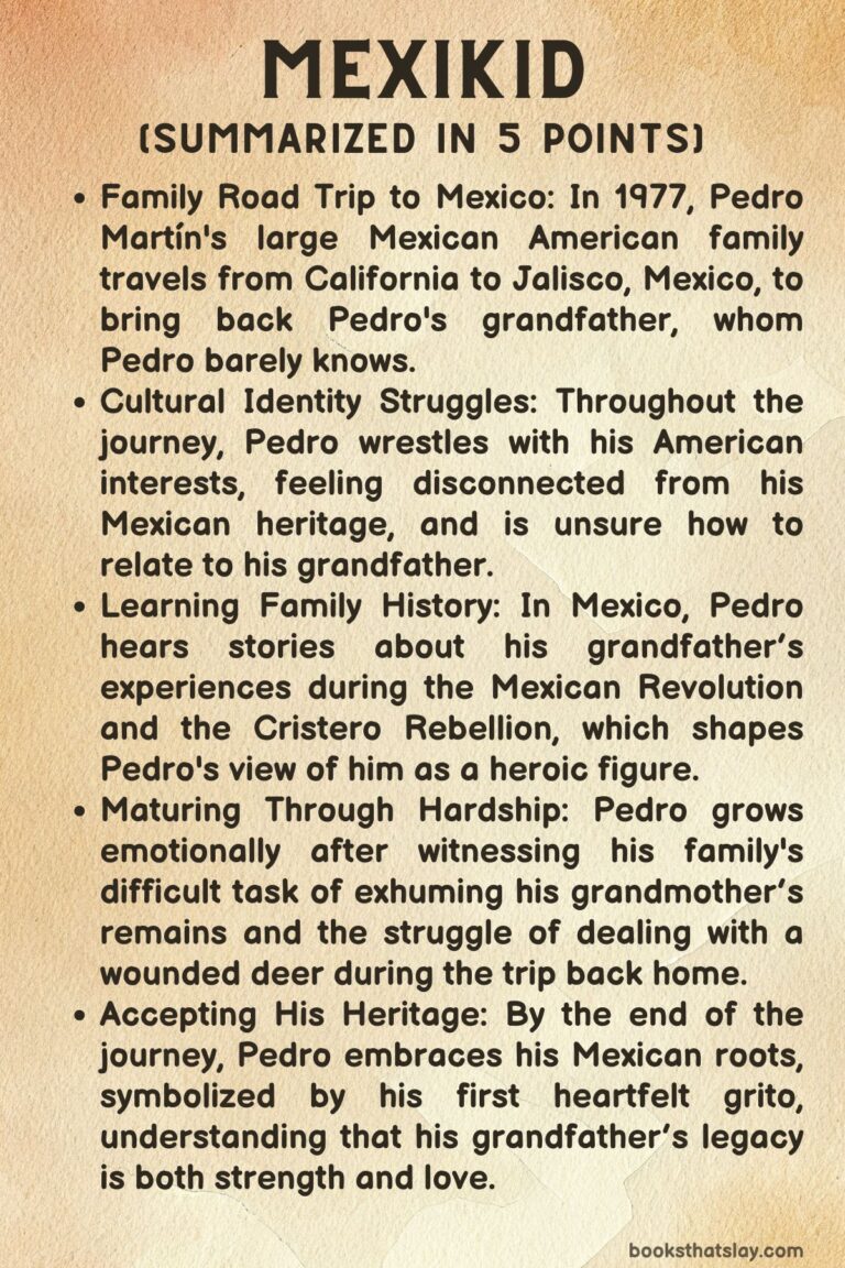 Mexikid Summary, Characters, Analysis and Themes