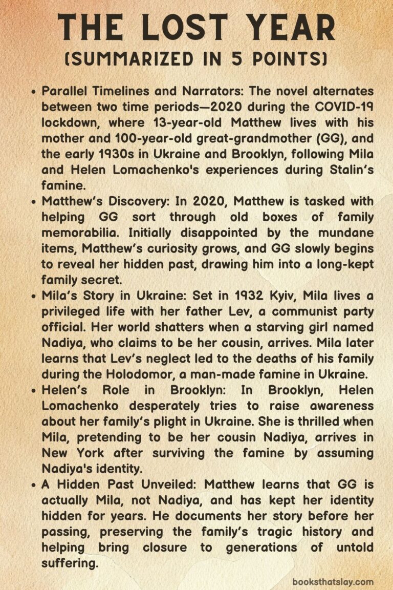 The Lost Year Summary, Characters and Themes