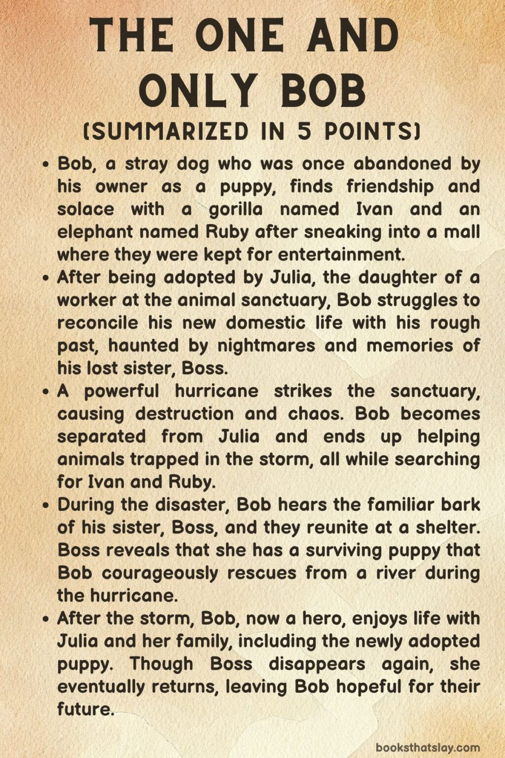 The One and Only Bob Summary, Characters and Themes