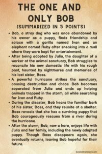 The One and Only Bob Summary, Characters and Themes