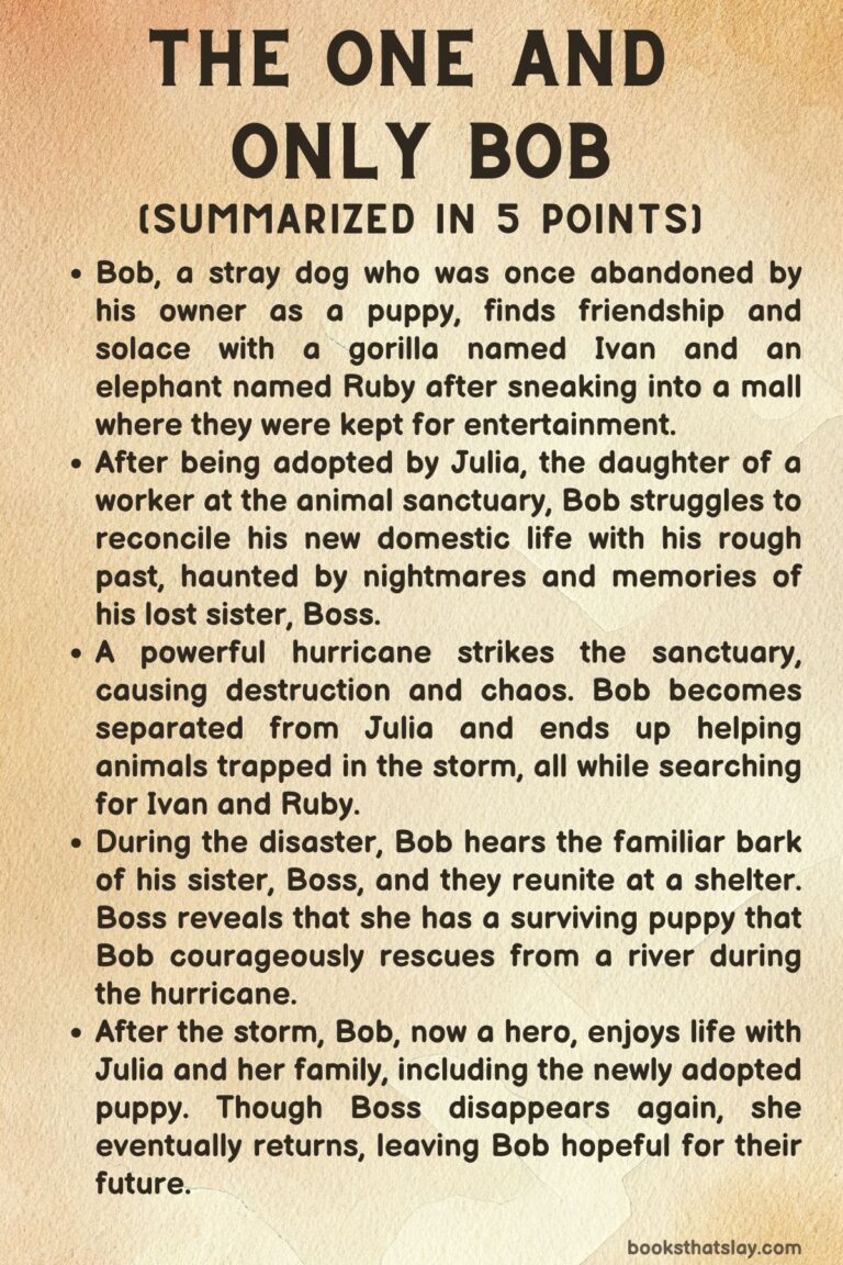 The One and Only Bob Summary, Characters and Themes