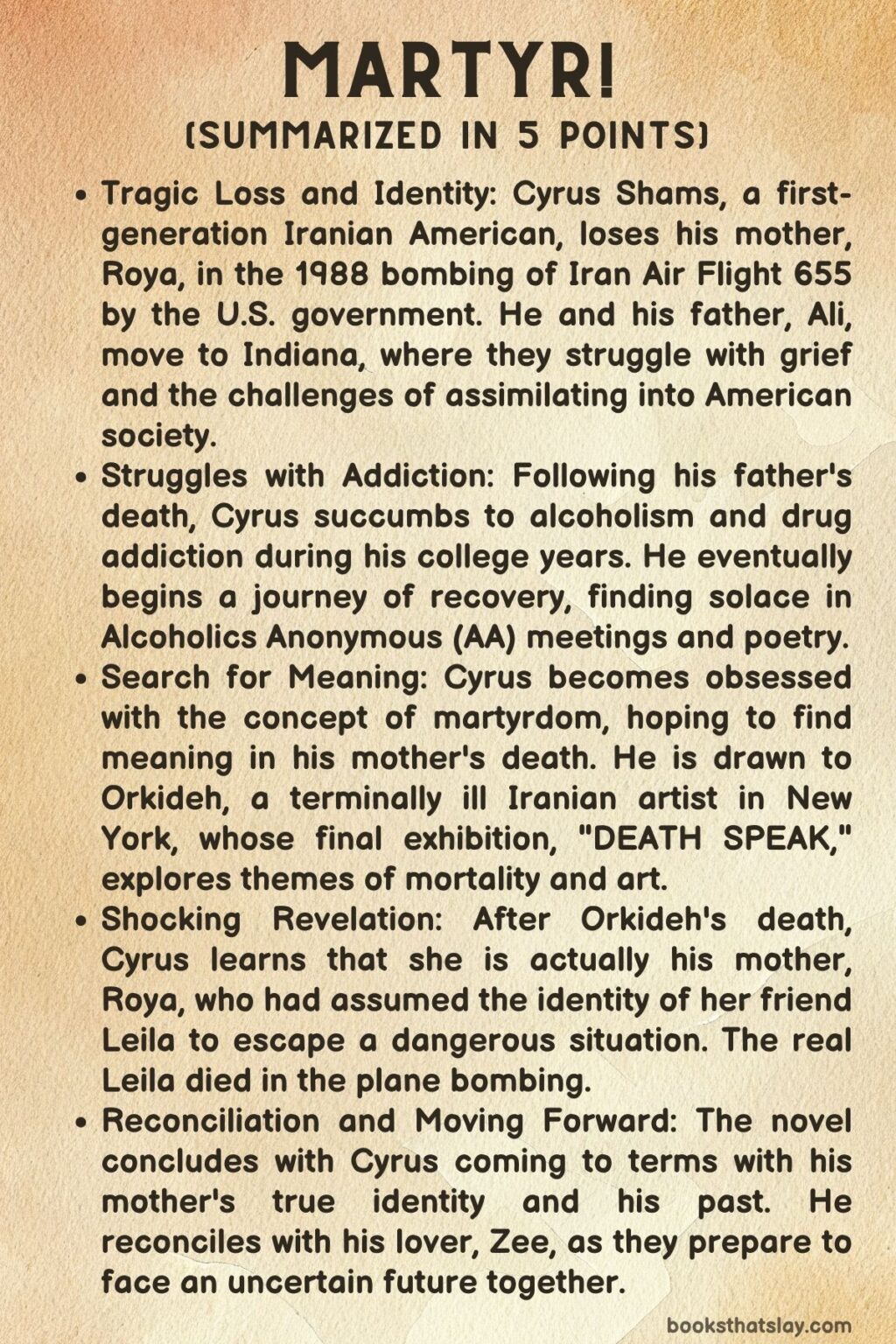 Martyr! by Kaveh Akbar Summary, Characters and Themes