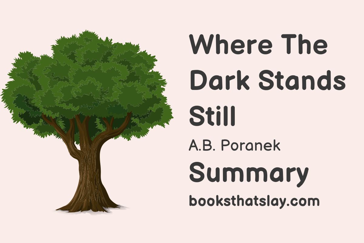 Where The Dark Stands Still Summary, Characters and Themes