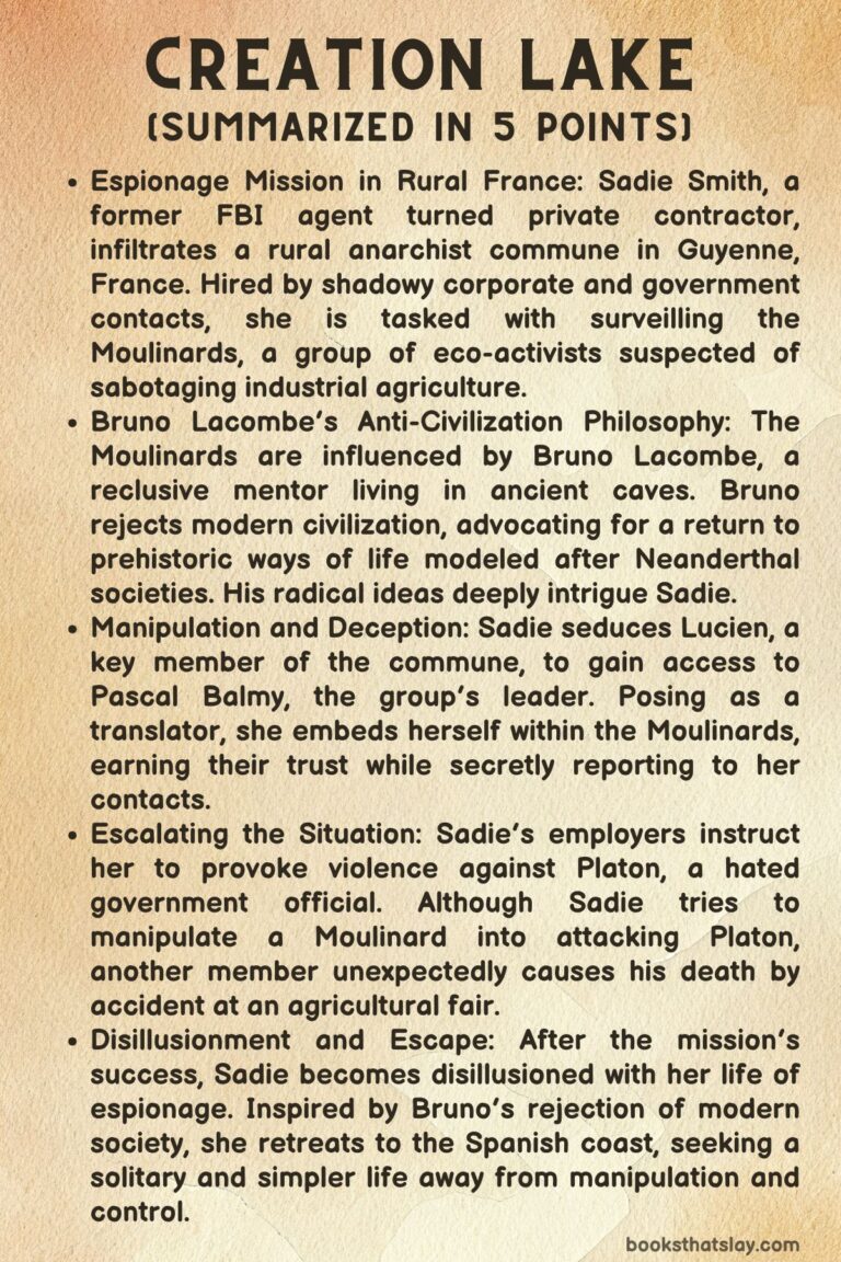 Creation Lake by Rachel Kushner Summary, Characters and Themes