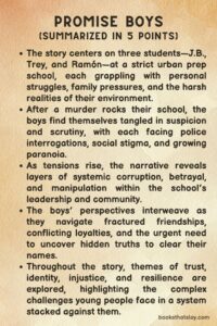 Promise Boys Summary, Characters and Themes