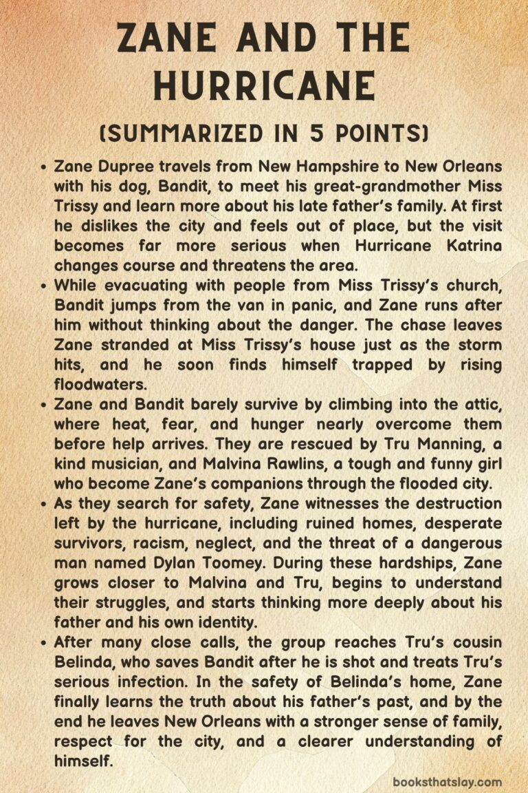Zane and the Hurricane Summary, Characters and Themes
